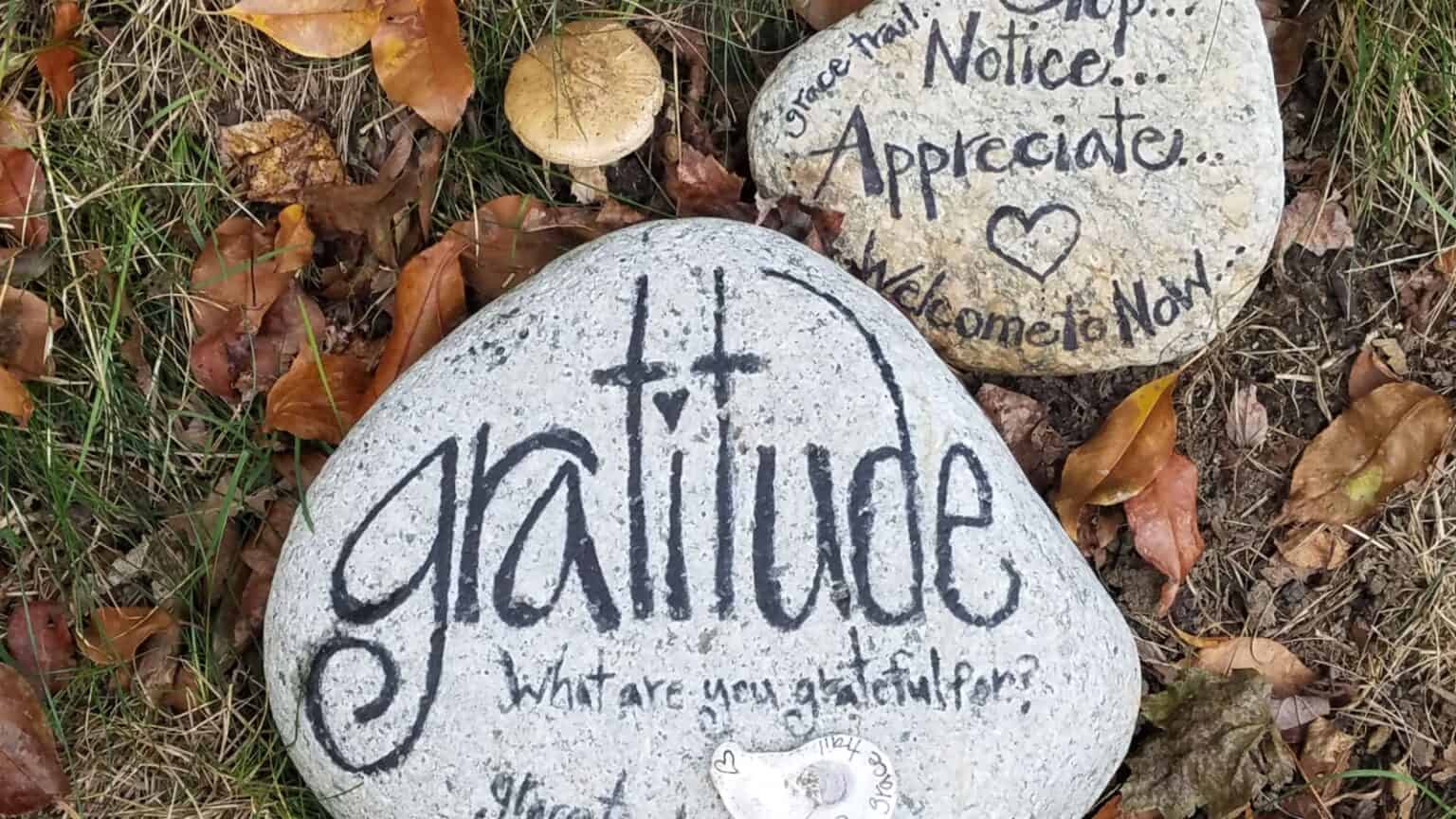 11 hard truths every woman can learn about gratitude and the cost of ...