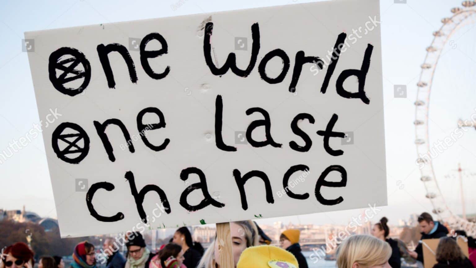 The Urgent Extinction Crisis: 20 Animals Lost Forever in the Past ...