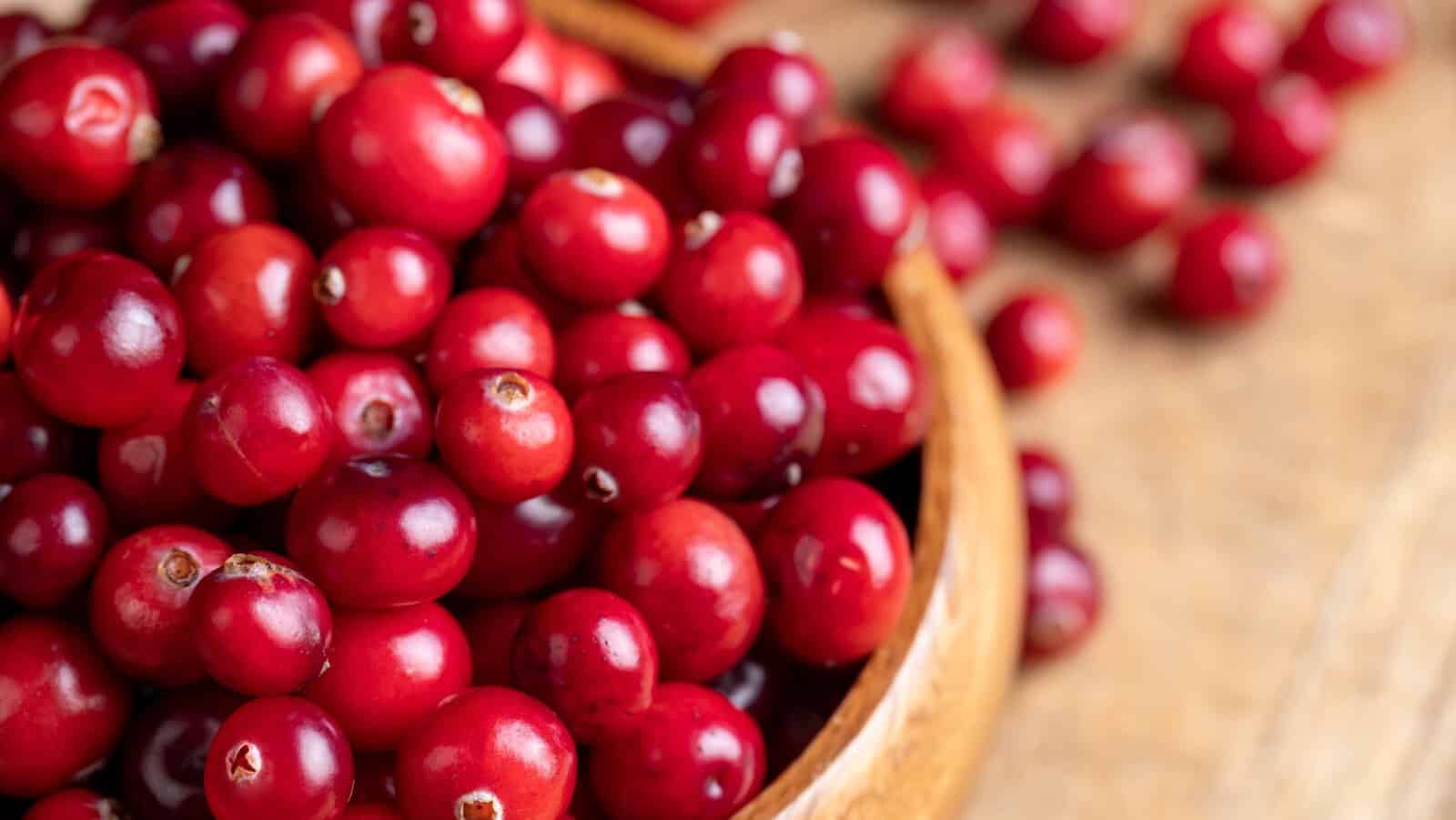 Why Cranberries Should Be Your New Favorite Superfood - The Queen Zone