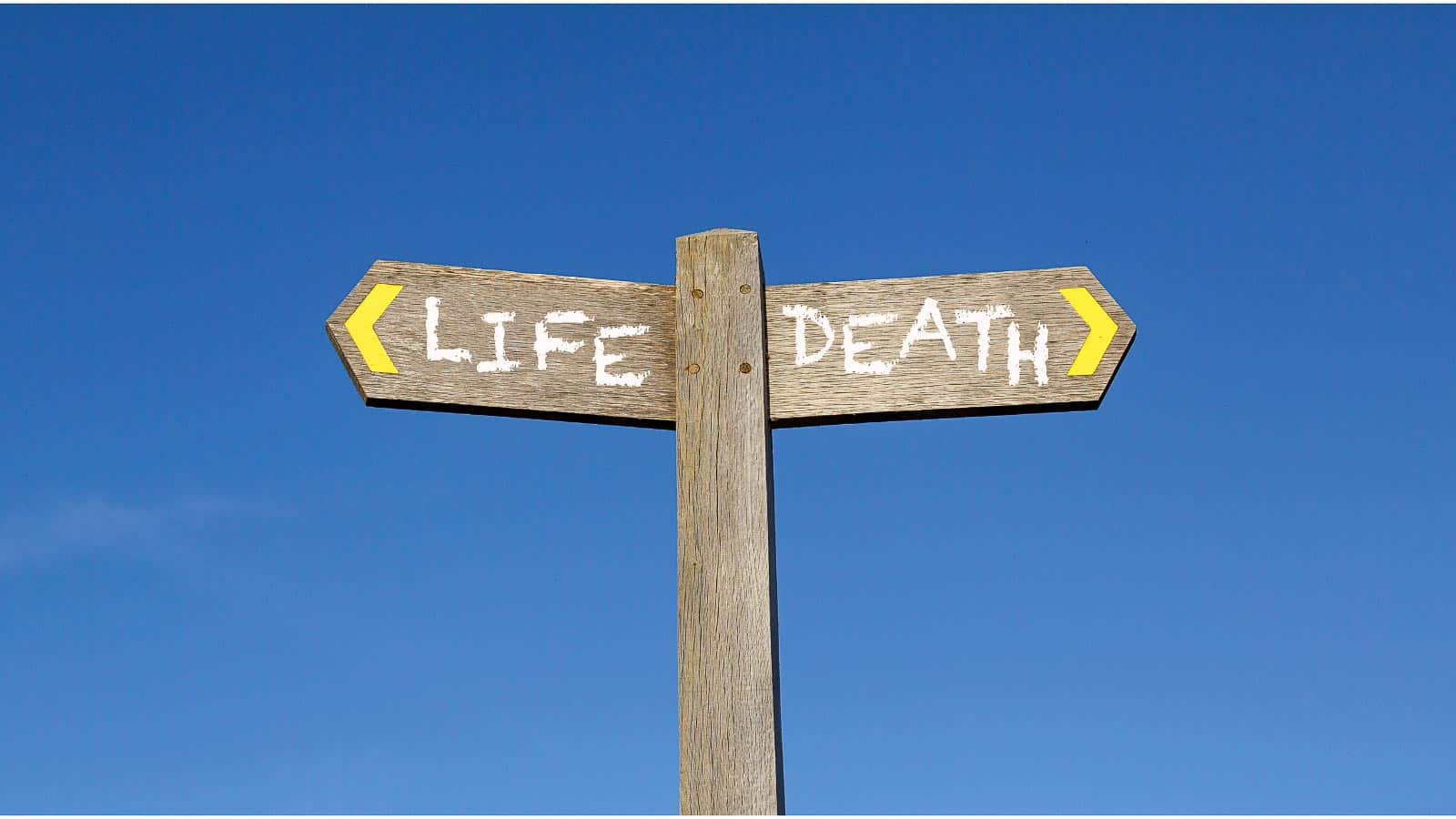 What Science Actually Knows About Life After Death - The Queen Zone