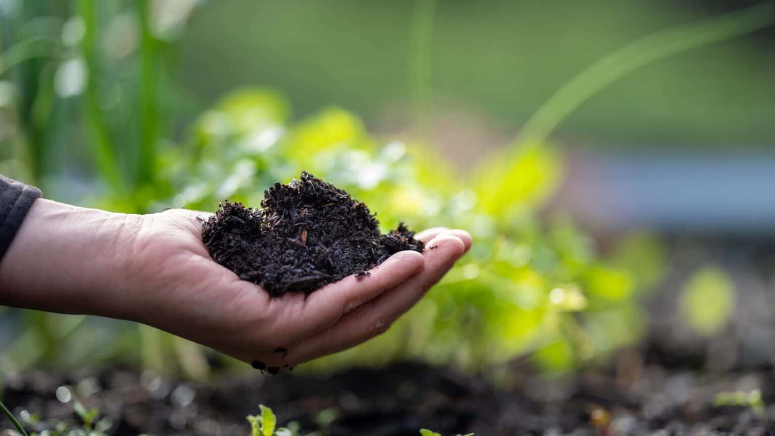 10 Revolutionary Food Tech Breakthroughs That Transformed Our Eating ...