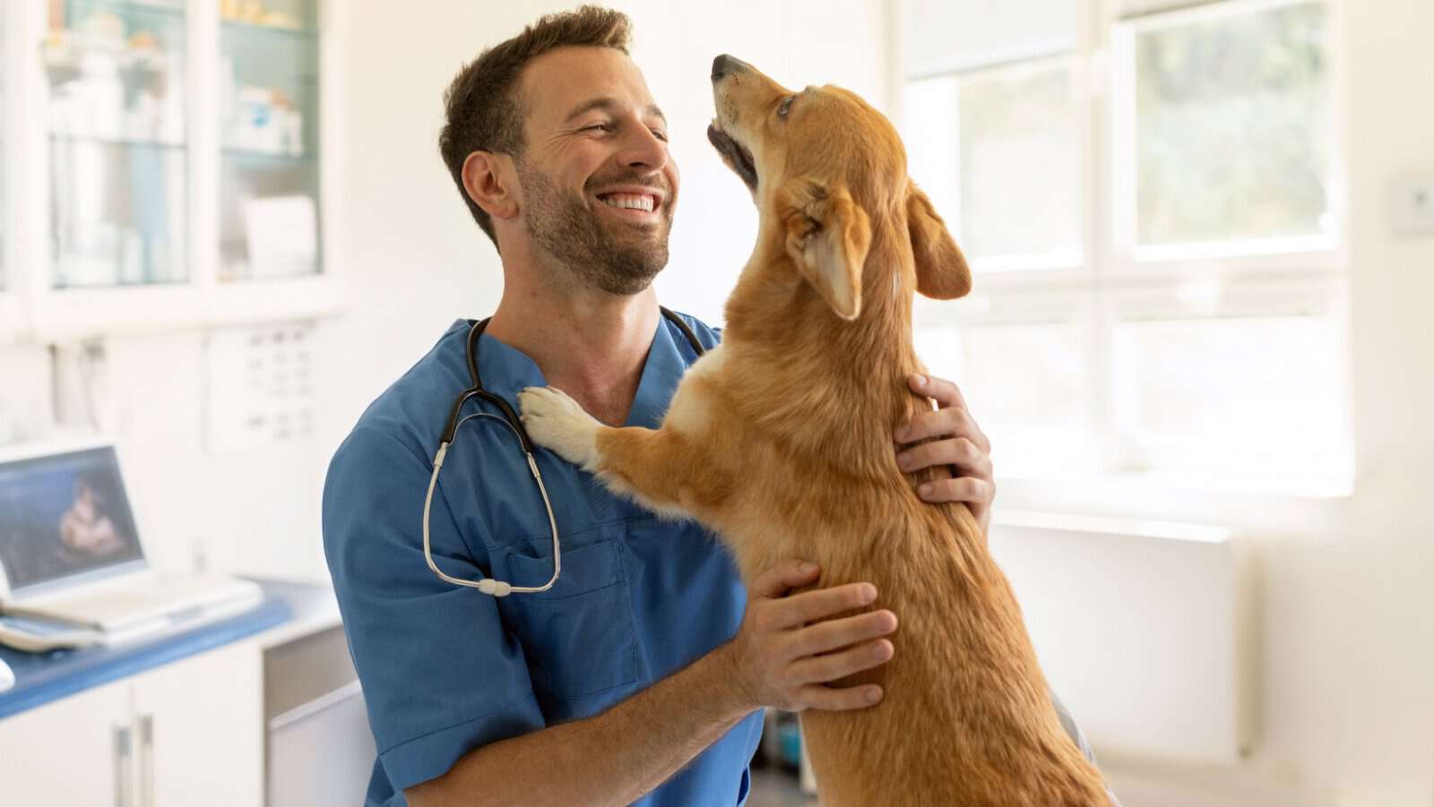 Who’s treating your pet? Don’t assume it’s a vet - The Queen Zone