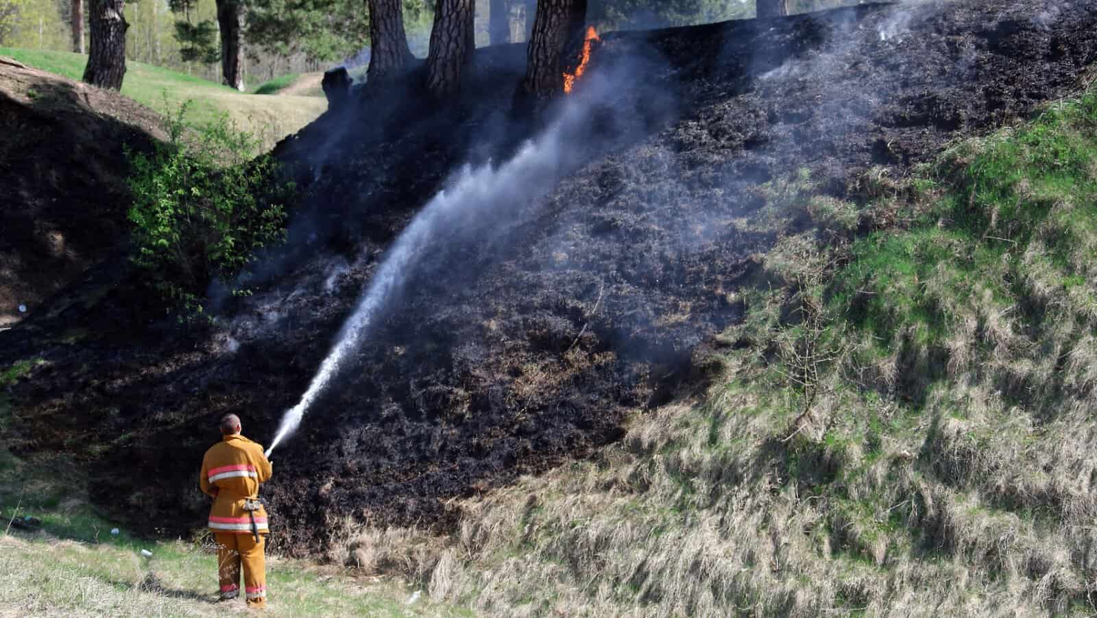 Wildfires, Wealth, and Inequality: The Controversial World of Private ...