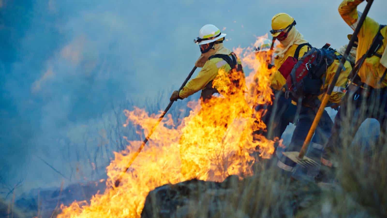 Wildfires, Wealth, and Inequality: The Controversial World of Private ...