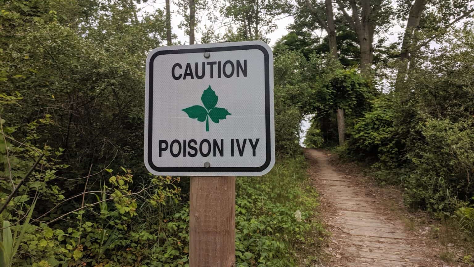 Why Poison Ivy Is More Dangerous Than You Think—Even If You Were Once ...