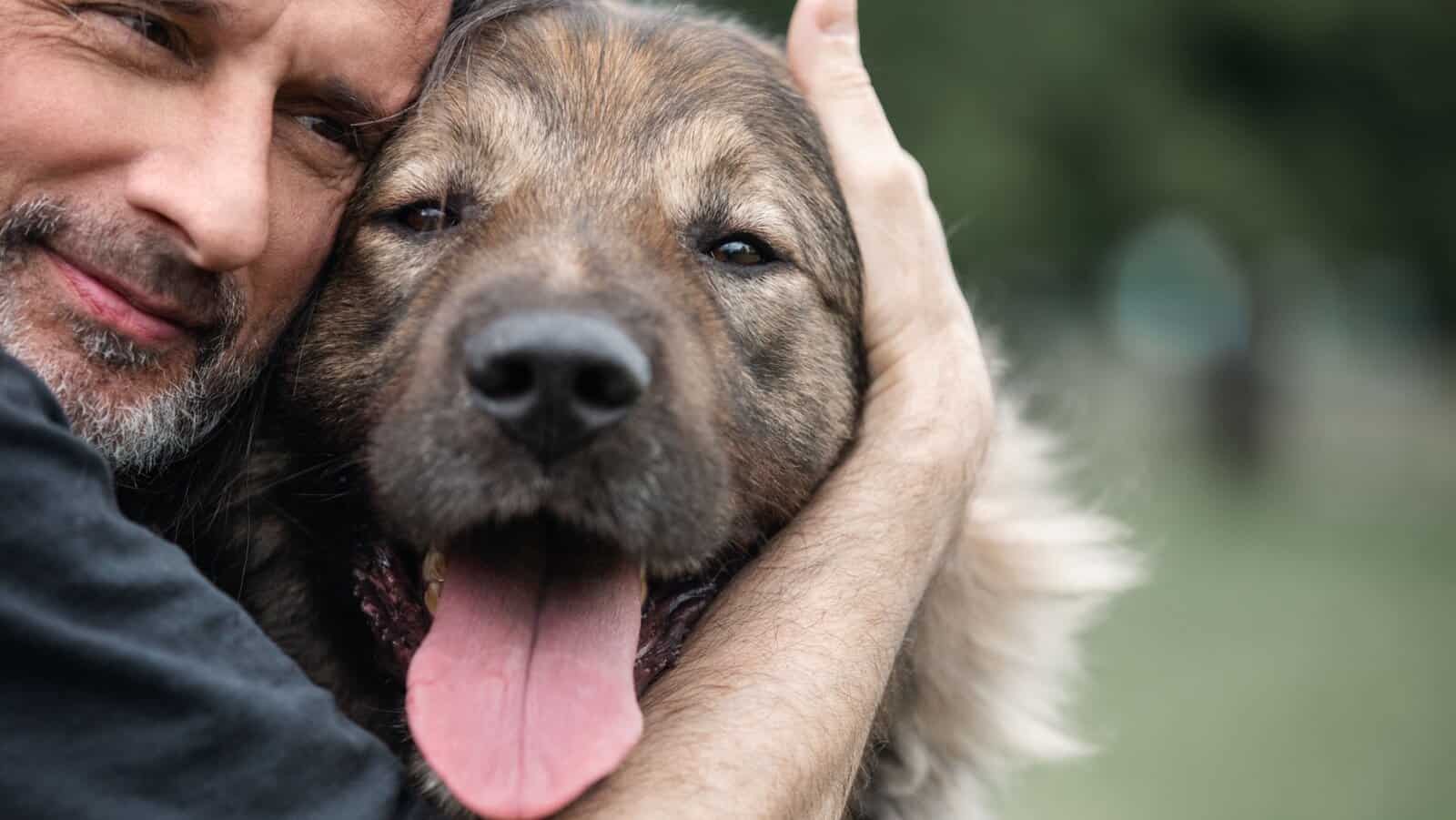 These Incredible Dogs Are Detecting Diseases and Saving Lives Every Day ...
