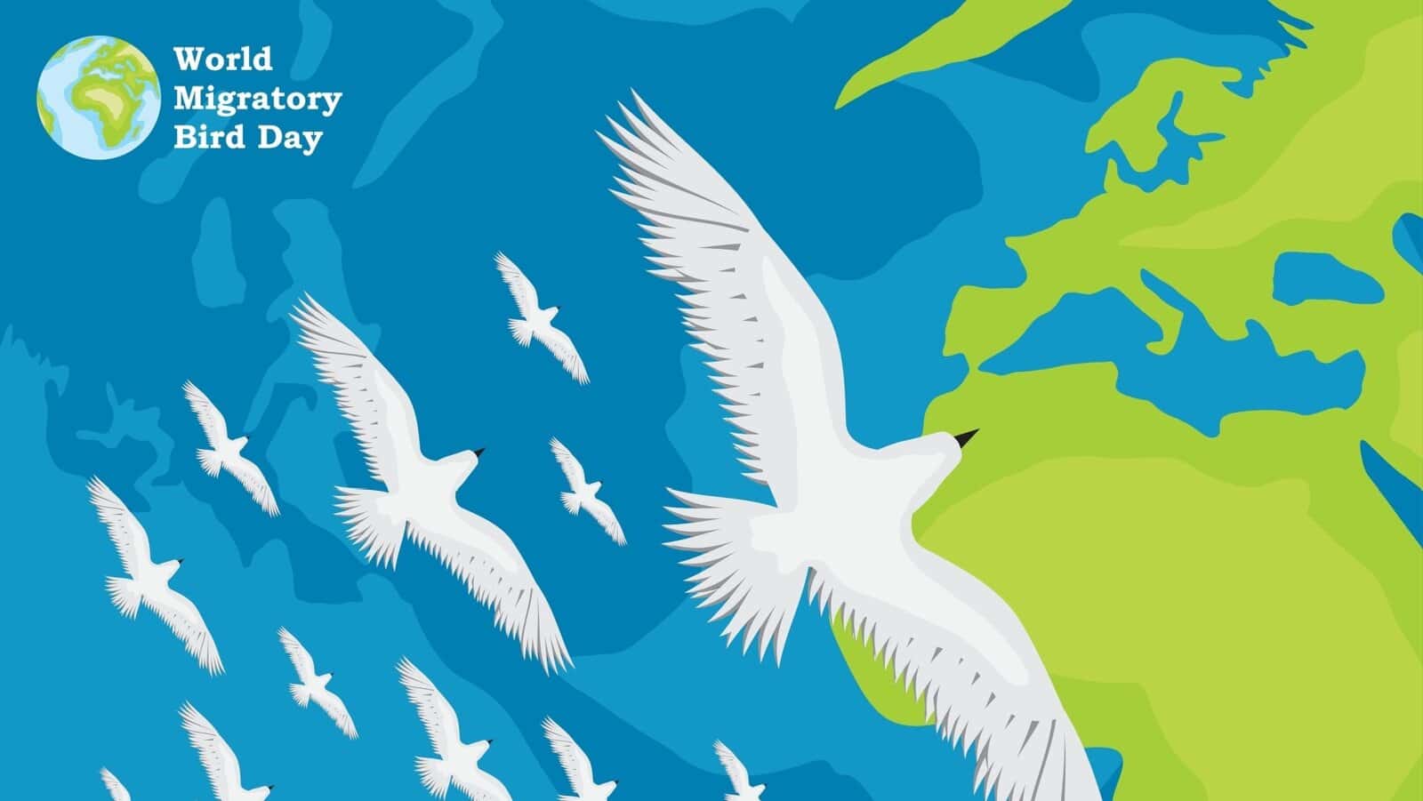 What we can learn from the incredible journeys of migratory birds - The ...